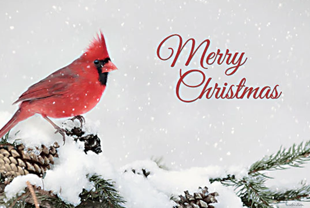 MERRY CHRISTMAS CARDINAL – Roslyn Decor